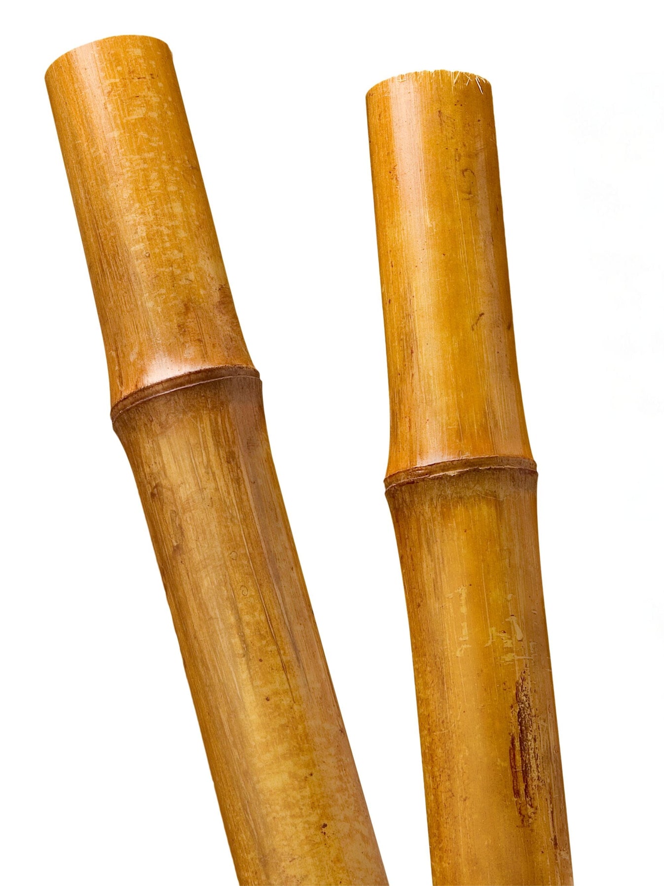 Bamboo Scaffold | Suitable for up to 2 Trees | Pleached Trees for ...