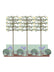 The Blue Garden | Ready-made Border for Planting Under Pleached Trees ...